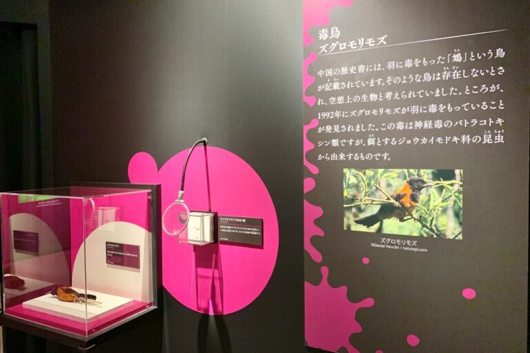 [Venue Report] Over 250 "Poison" Exhibits! Special exhibition "Poison ...